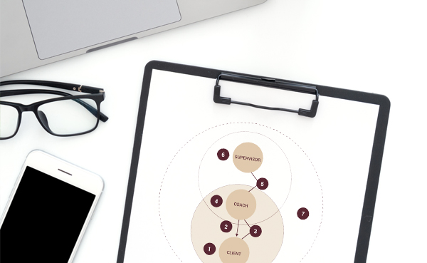Peter Hawkins´ Seven Eyed Supervision Model - Nadia Peeters Coaching ...